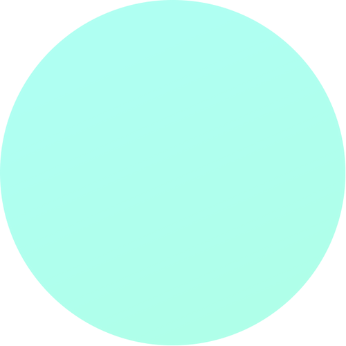 Spotlight Reporting | All-in-One Reporting & Forecasting